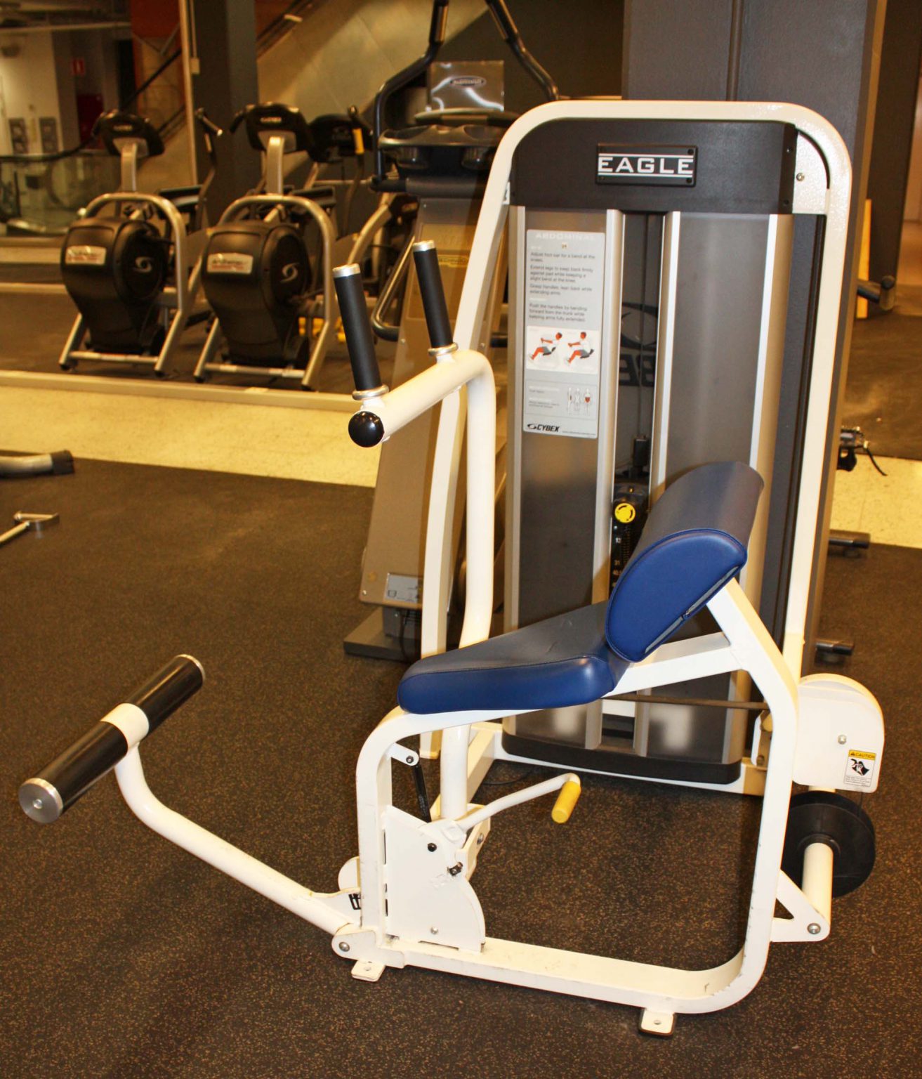 » Cybex Abdominal Eagle